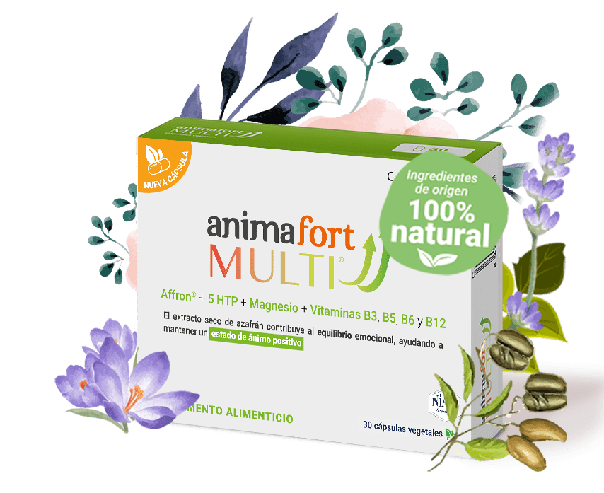 AnimaFort MULTI - La vida es un estado de ánimo, ¡disfrútala!